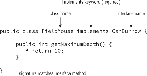 Packt+ | Advance your knowledge in tech