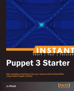 Instant Puppet 3 Starter