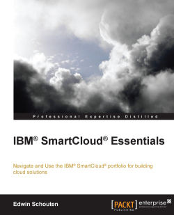 The value of cloud services | IBM SmartCloud Essentials