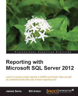 Reporting scenarios | Reporting with Microsoft SQL Server 2012