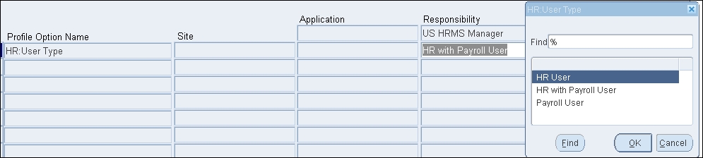 Profile options in Oracle apps | Oracle E-Business Suite R12.x HRMS - A ...