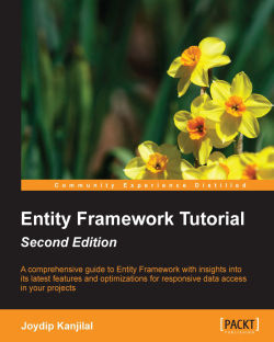 Entity Framework architectural components | Entity Framework Tutorial - Second Edition