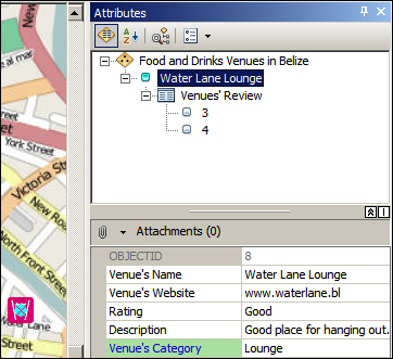Learning ArcGIS Geodatabases