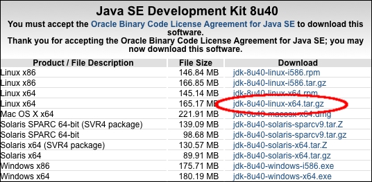 WildFly Cookbook | Packt