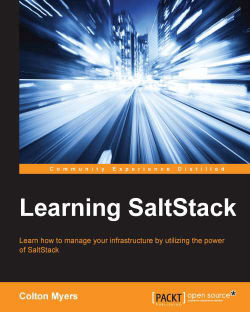 Masterless Salt | Learning SaltStack
