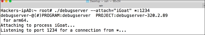 Mobile Application Penetration Testing