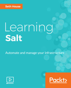The Philosophy of Salt | Learning Salt [Video]