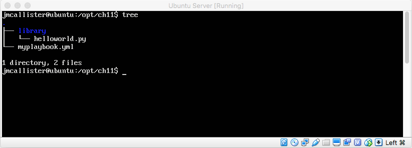 Developing Hello World Ansible Module Implementing DevOps With Ansible 2