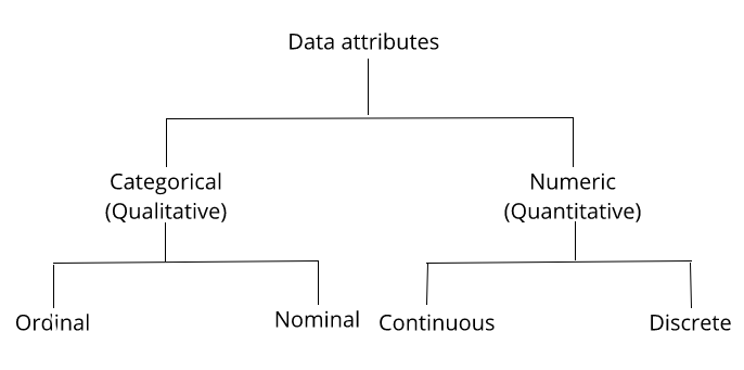 Understanding Types Of Data Attributes - Python Natural Language Processing