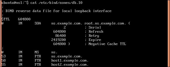 Linux: Powerful Server Administration