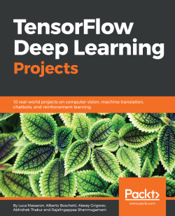 The dataset | TensorFlow Deep Learning Projects