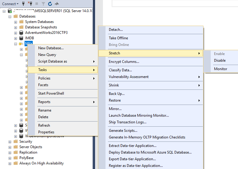 SQL Server 2017 Developer's Guide