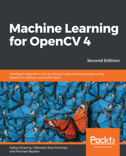 Understanding the machine learning workflow | Machine Learning for OpenCV 4 - Second Edition