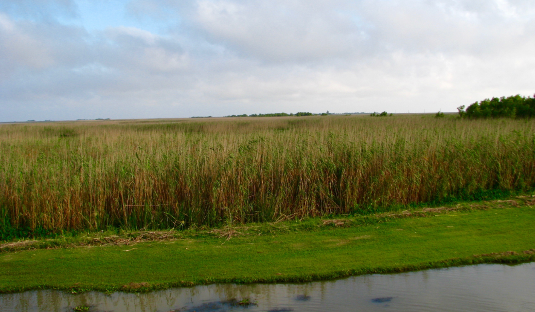 Geospatial analysis and our world | Learning Geospatial Analysis with ...