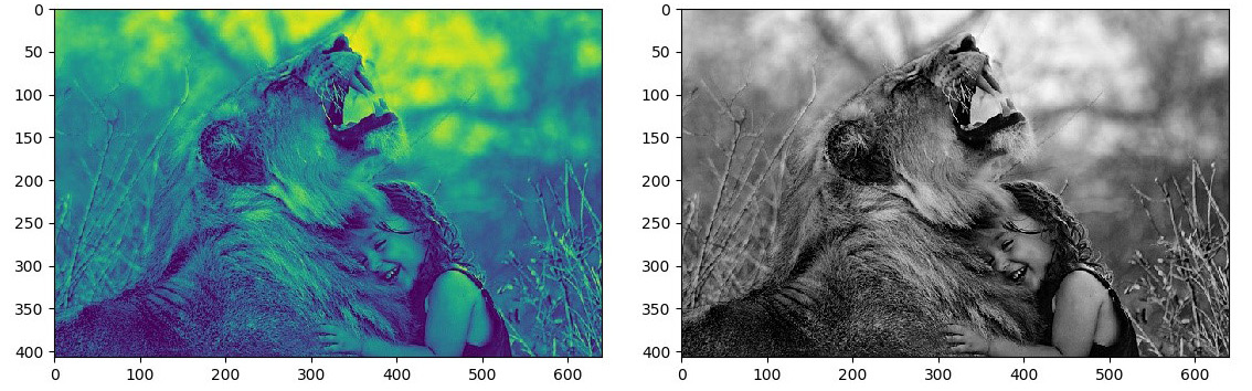 Introduction to OpenCV - The Computer Vision Workshop
