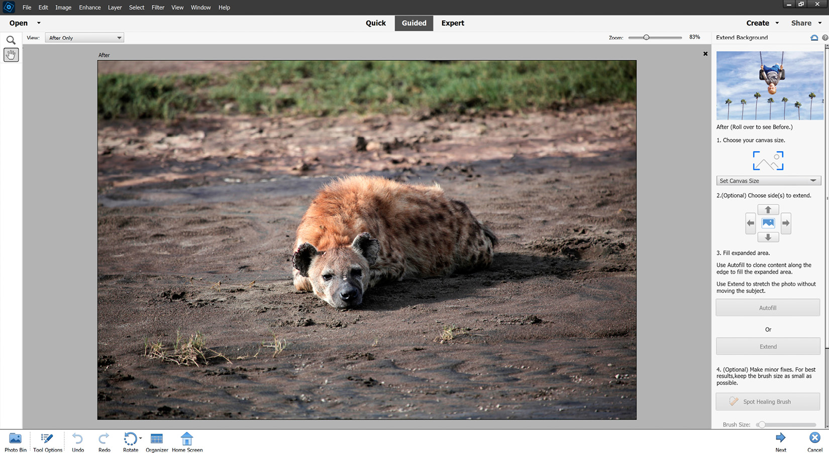 Extend Background Feature Mastering Adobe Photoshop Elements 2022 