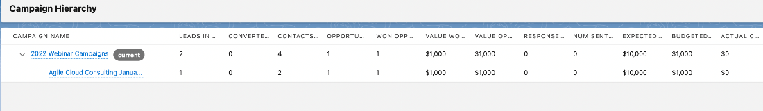 Managing marketing with campaign hierarchies | Salesforce for Beginners ...