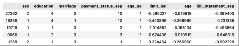 Figure 15.1: The preview of the encoded dataset