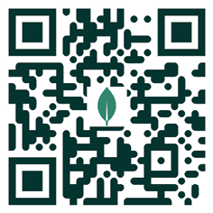 MongoDB Architecture | MongoDB Essentials