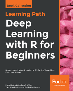 Advanced Deep Learning with R | Packt