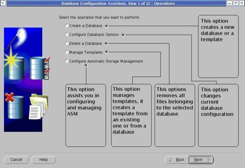 Oracle 10g/11g Data and Database Management Utilities