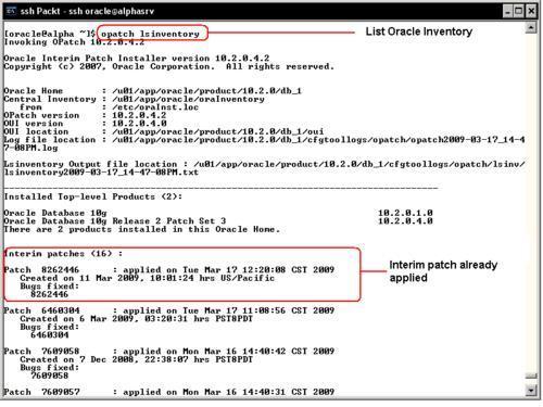 Oracle 10g 11g Data And Database Management Utilities