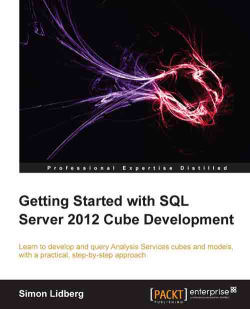 Identifying common user requirements for a BI system | Getting Started with SQL Server 2012 Cube ...