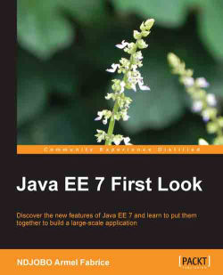 A brief history of Java EE | Java EE 7 First Look