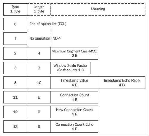 9 2 TCP Header Options Understanding TCP IP